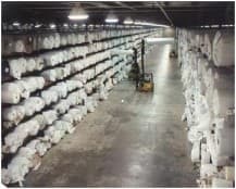 Carpet Storage Racks | Carpet Roll Racking Systems